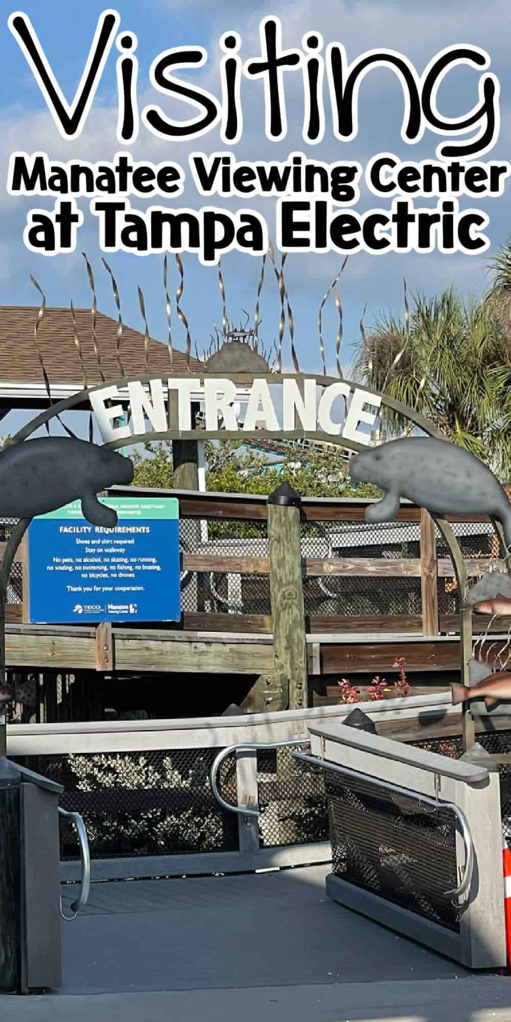 Visiting Manatee Viewing Center at Tampa Electric
