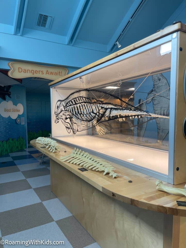 Visiting Manatee Viewing Center at Tampa Electric