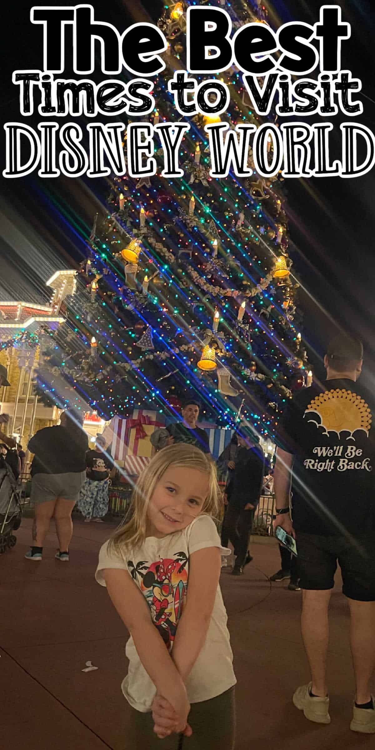 Tips for Picking the Best Times to Visit Disney World