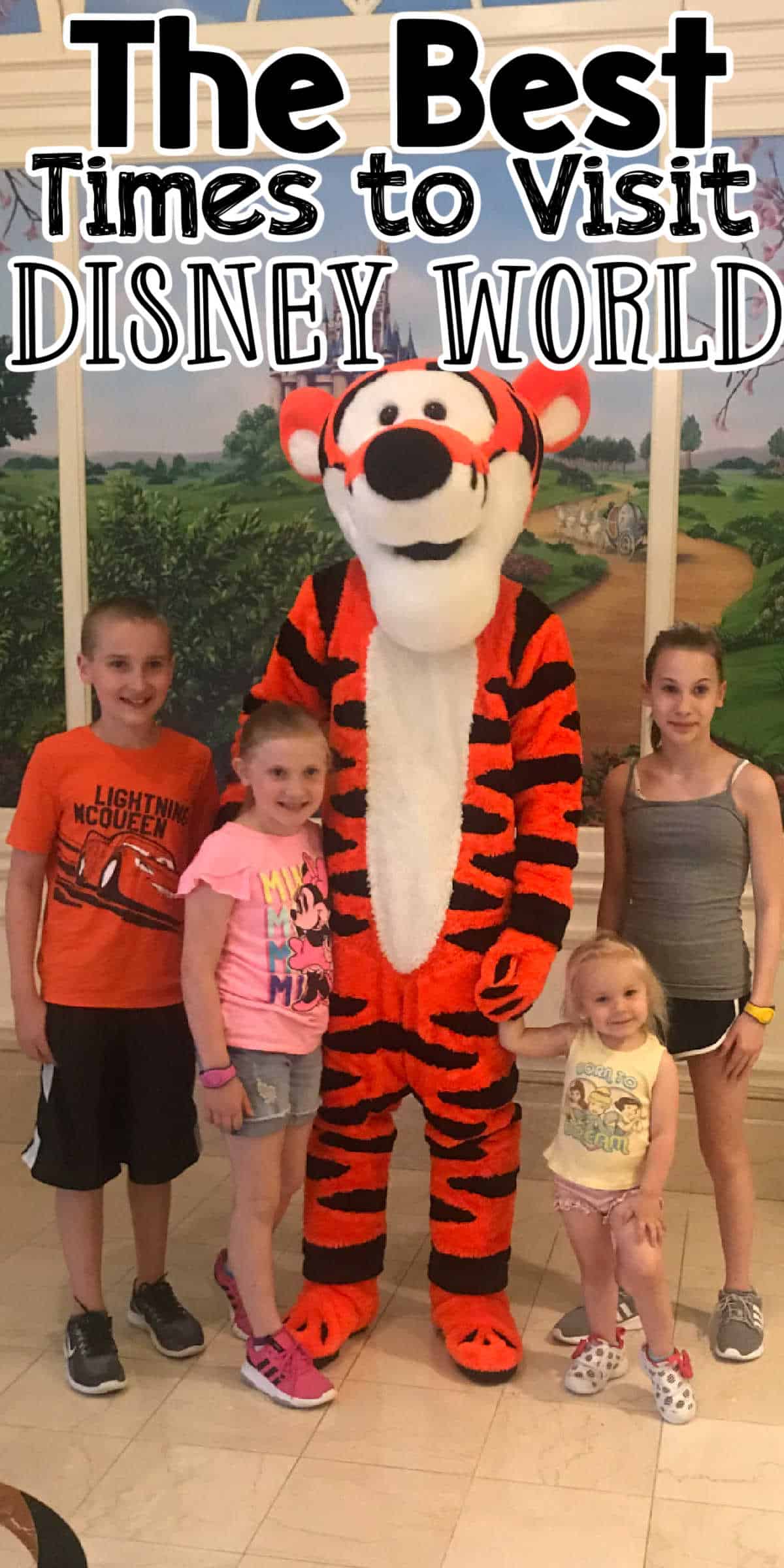 Tips for Picking the Best Times to Visit Disney World