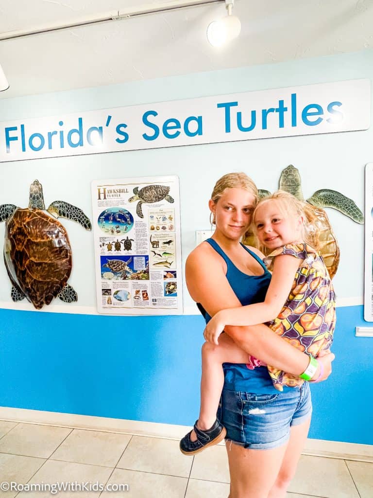 Visiting the Turtle Hospital In Marathon Florida - Roaming With Kids