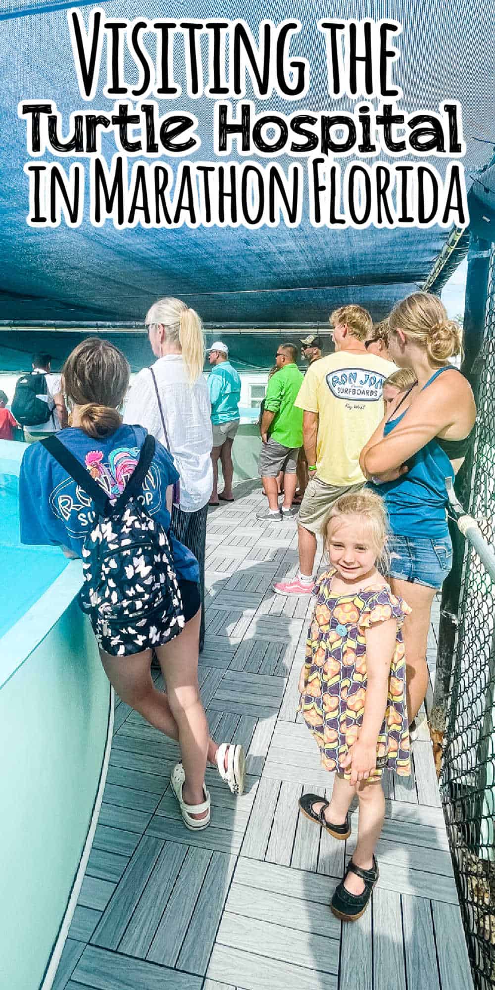 Visiting the Turtle Hospital In Marathon Florida - Roaming With Kids